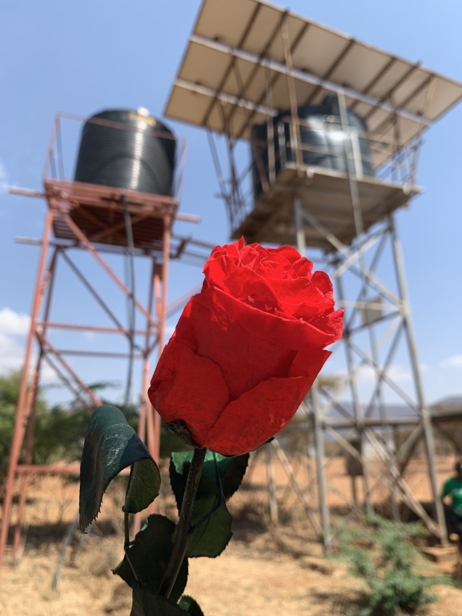 Flor Keeps: The Flowers that Give Water | Well Aware